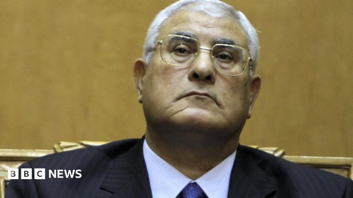 Profile: Interim Egyptian President Adly Mansour - BBC News
