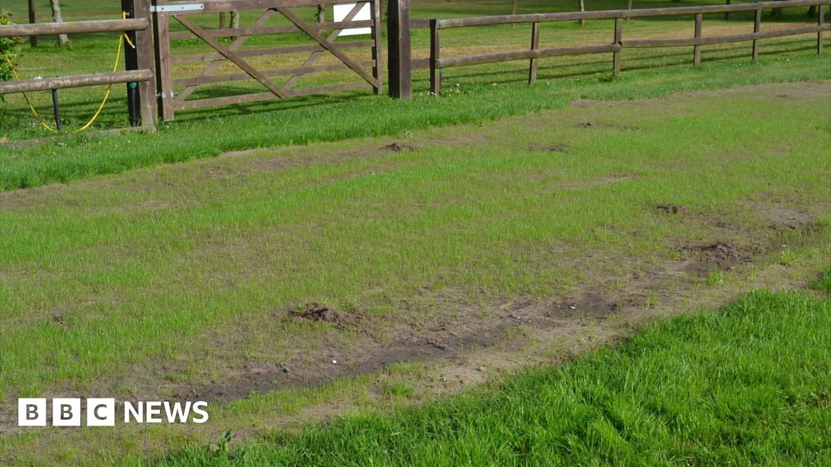 Glass spread over Guernsey show jumping field - BBC News