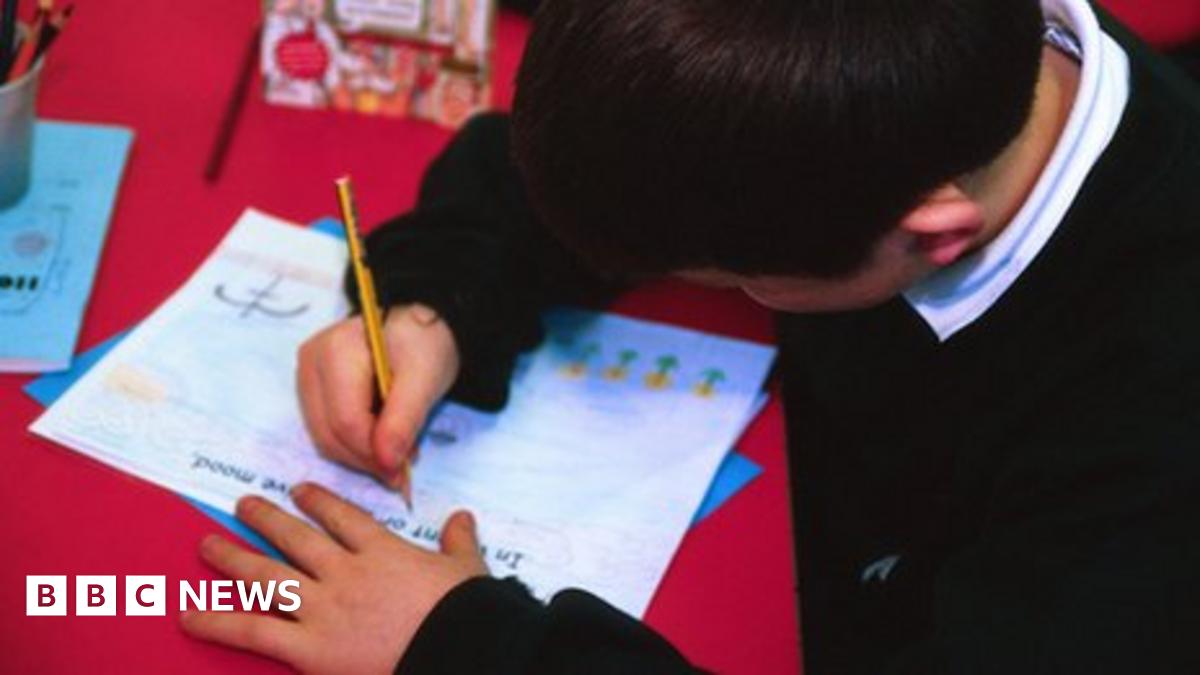 Local education authorities: First minister backs cut - BBC News