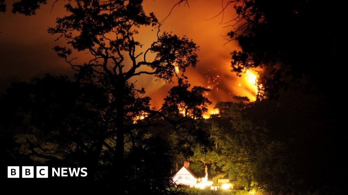 Grinshill Woods fire: Area 'will take a year to recover' - BBC News