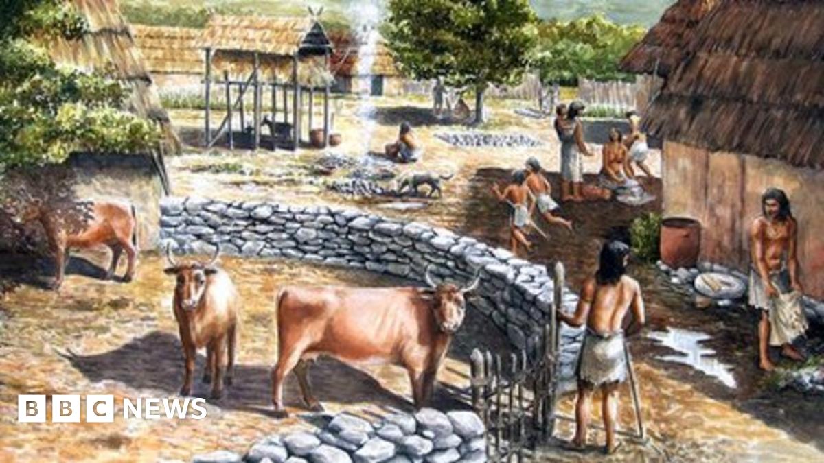 Neolithic farmers used manure on crops - BBC News