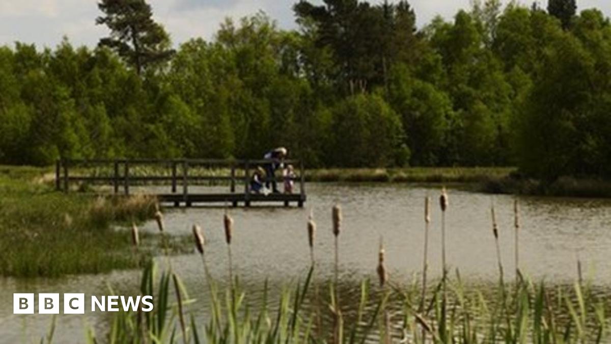 Northumberland surface mine planned near nature reserve - BBC News