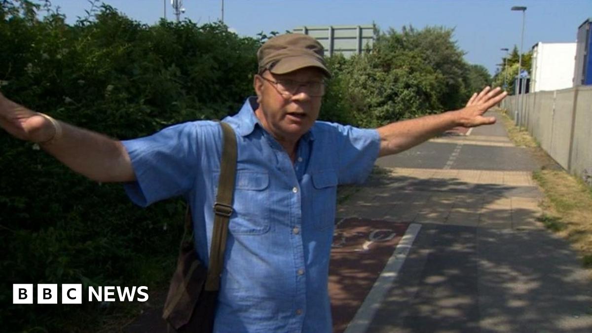 Hull gull attacks victim: 'Most frightening experience' - BBC News