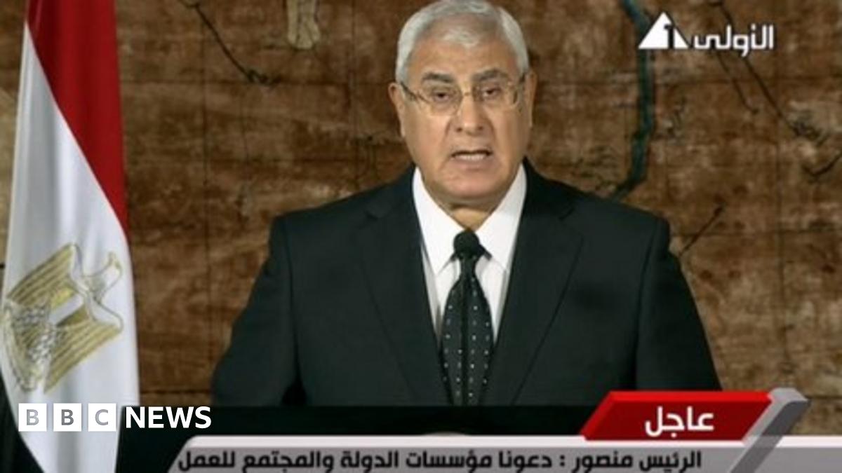 Egypt President Adly Mansour in first public address - BBC News