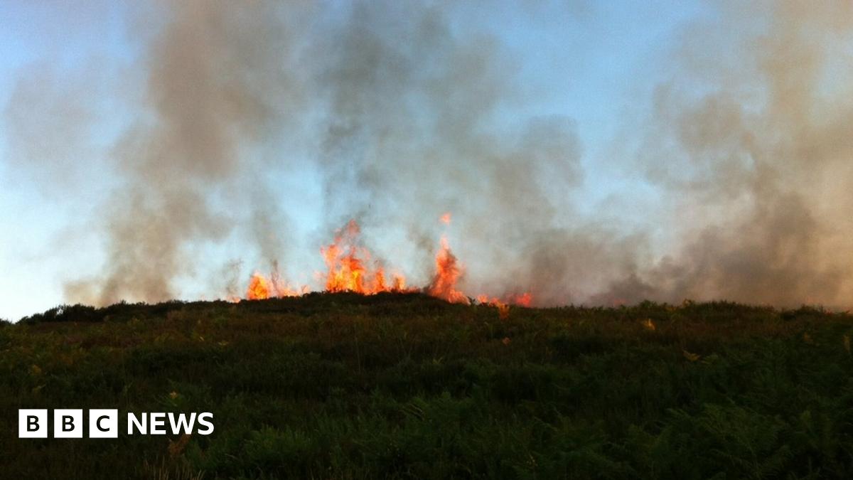 Dorset firefighters put out third heath fire in four days - BBC News