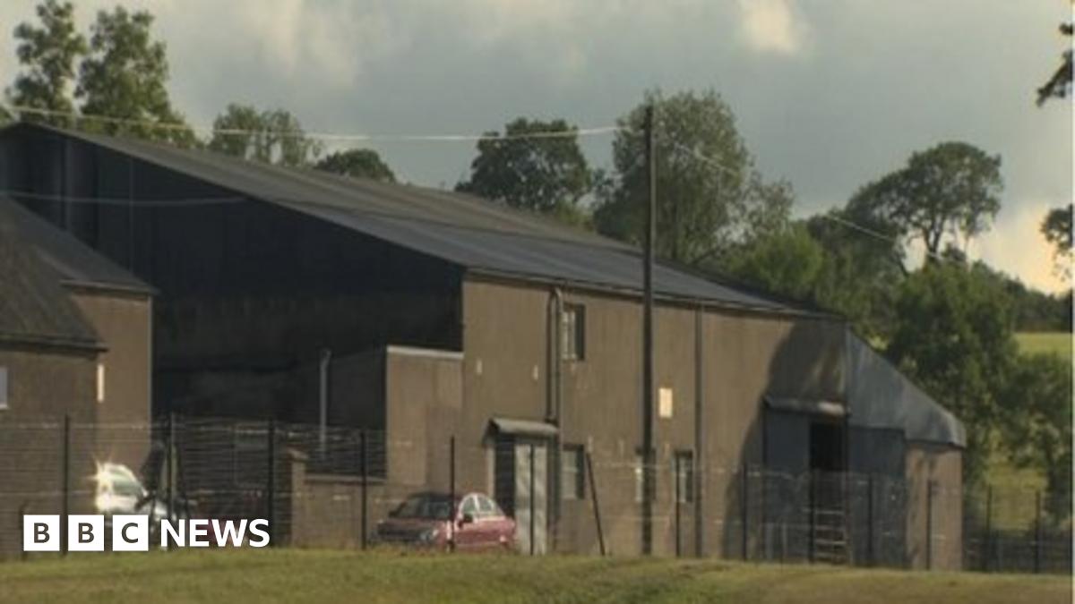 Harry Starrett, six, dies on family farm in Armagh - BBC News