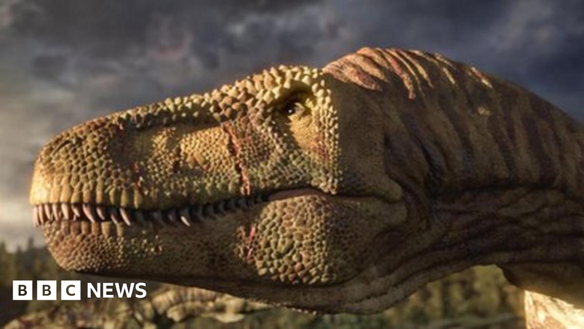 Dinosaur experts launch online university course - BBC News