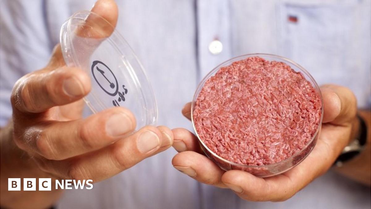 World's first lab-grown burger is eaten in London - BBC News