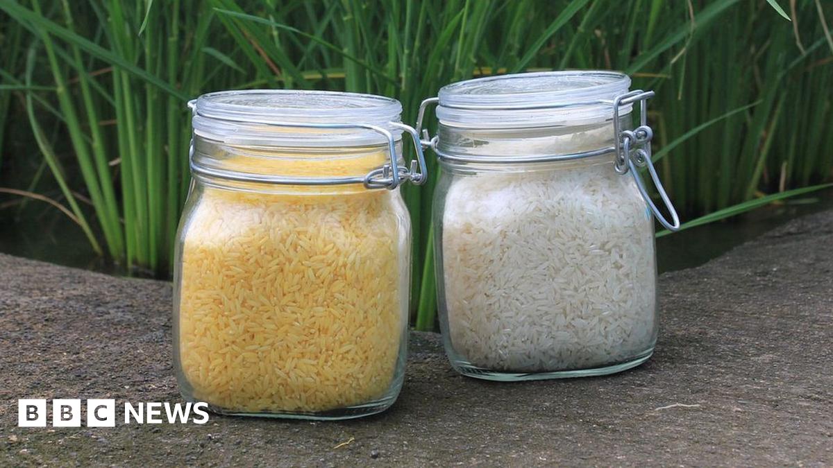GM rice approval 'edging closer' - BBC News