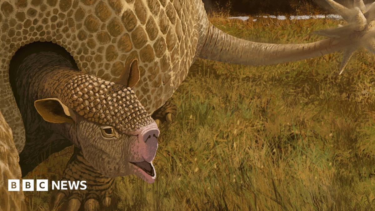 Big animal extinction 'severed nutrient arteries' - BBC News