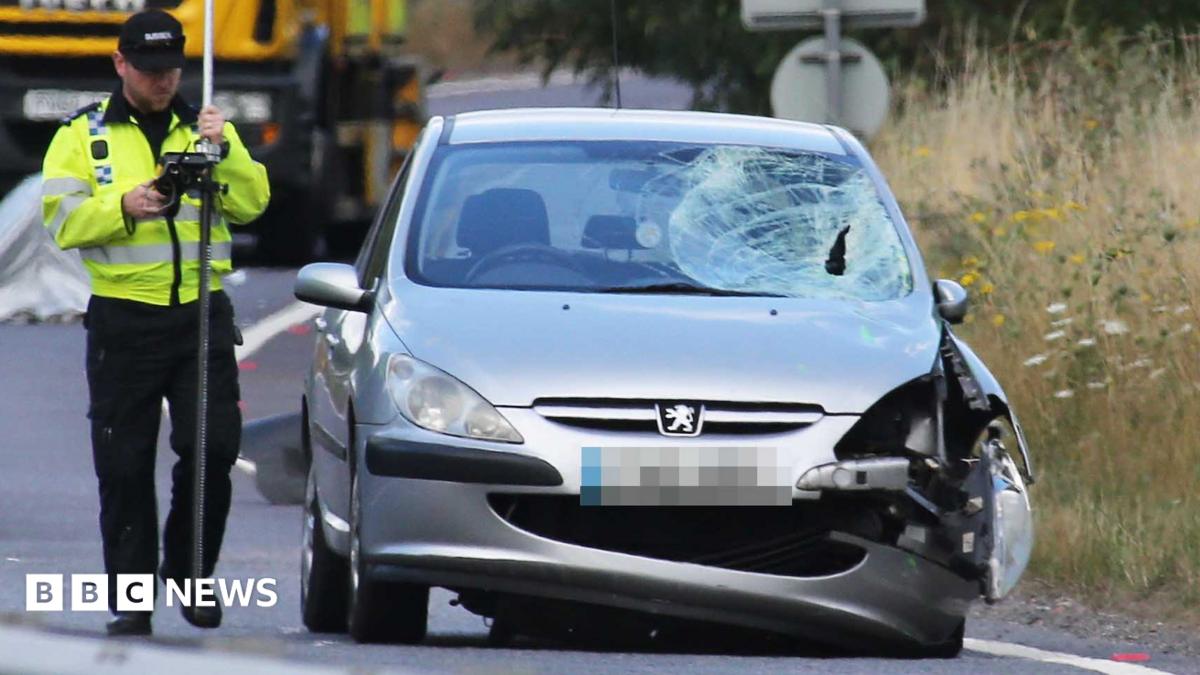Worker hit by car 'collecting road signs' on A24 named - BBC News