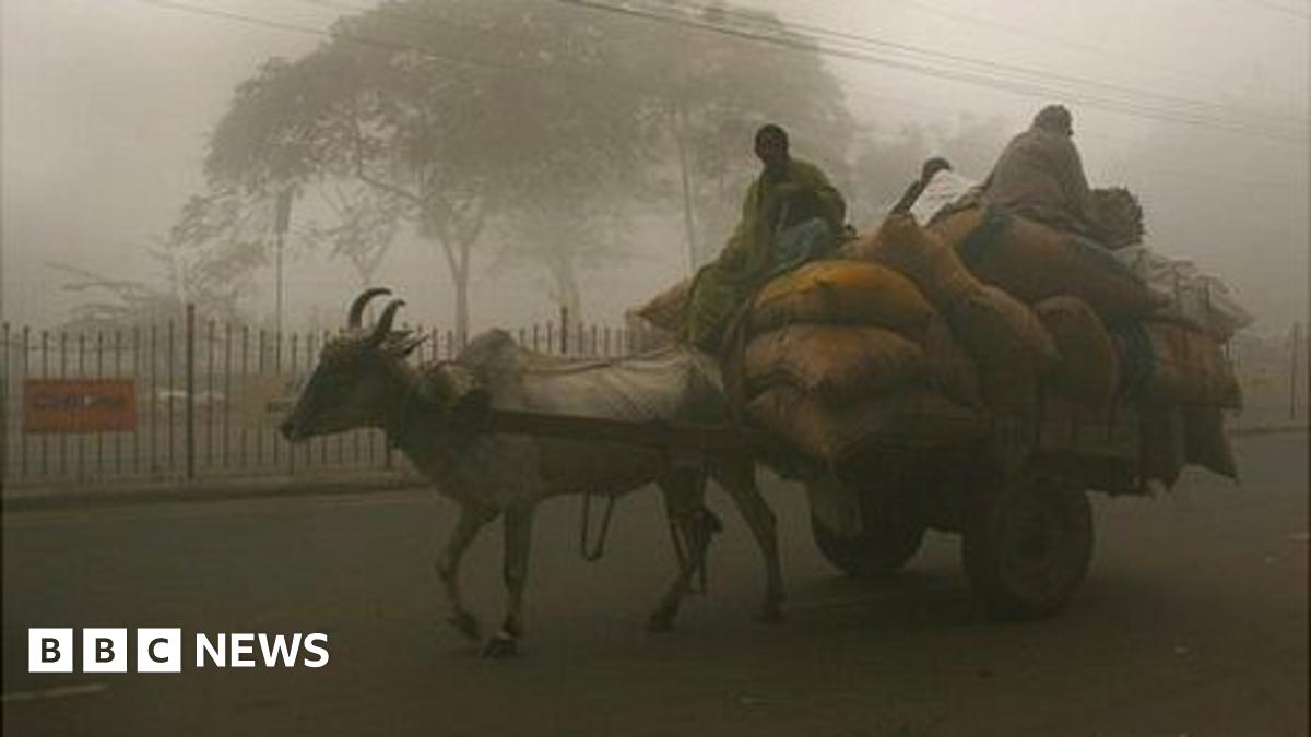Amitava Kumar: In praise of Ian Jack's small town India - BBC News