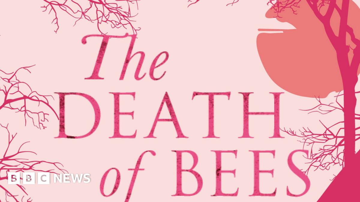 Commonwealth book prize gives way to short story prize - BBC News