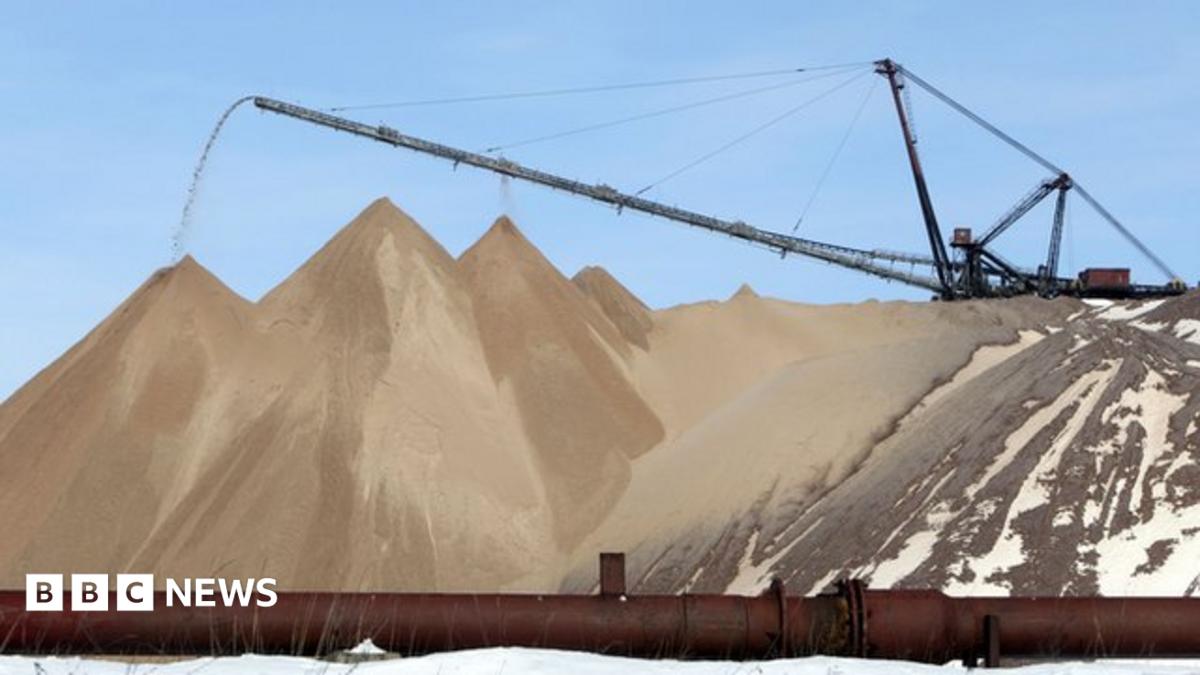 Belarus holds Russian Uralkali potash boss in price row - BBC News