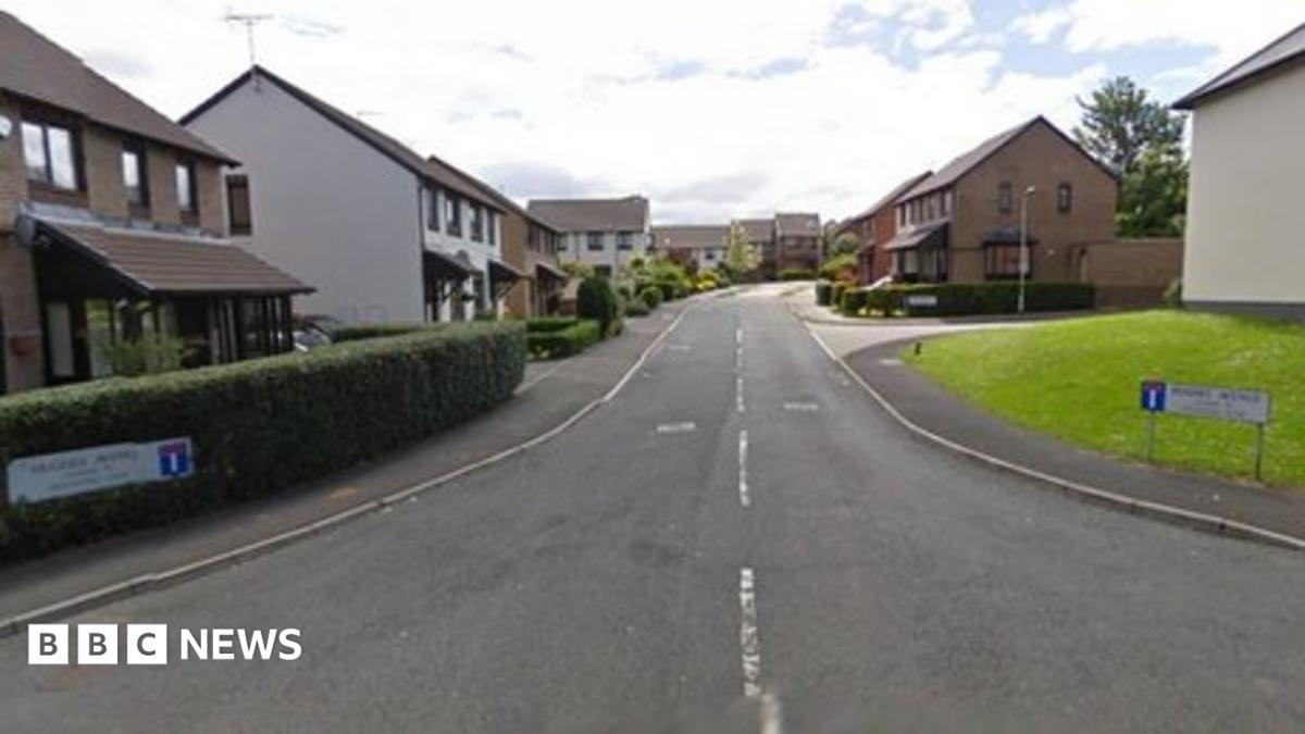 Man wielding meat cleaver in Barnstaple Tasered by police - BBC News