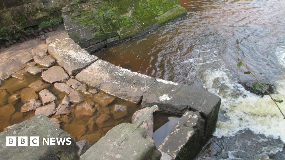 'Rock ramp' to help spawning fish pass Sarn Mill weir, Flintshire - BBC ...