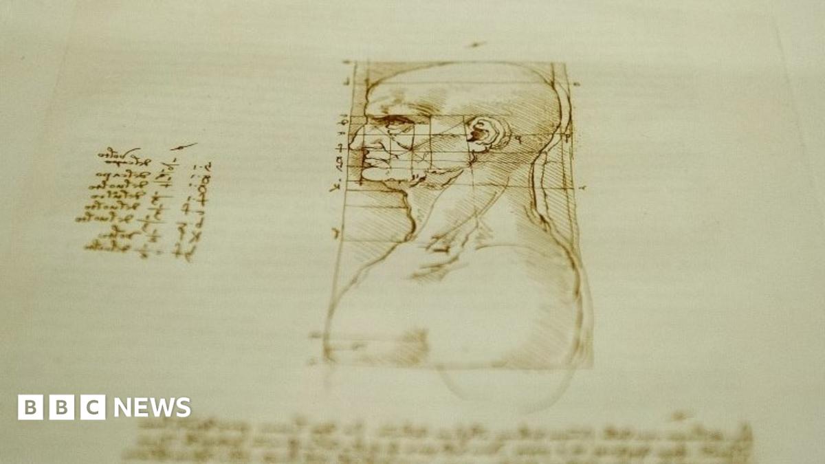 Leonardo da Vinci famous drawings on show in Venice - BBC News