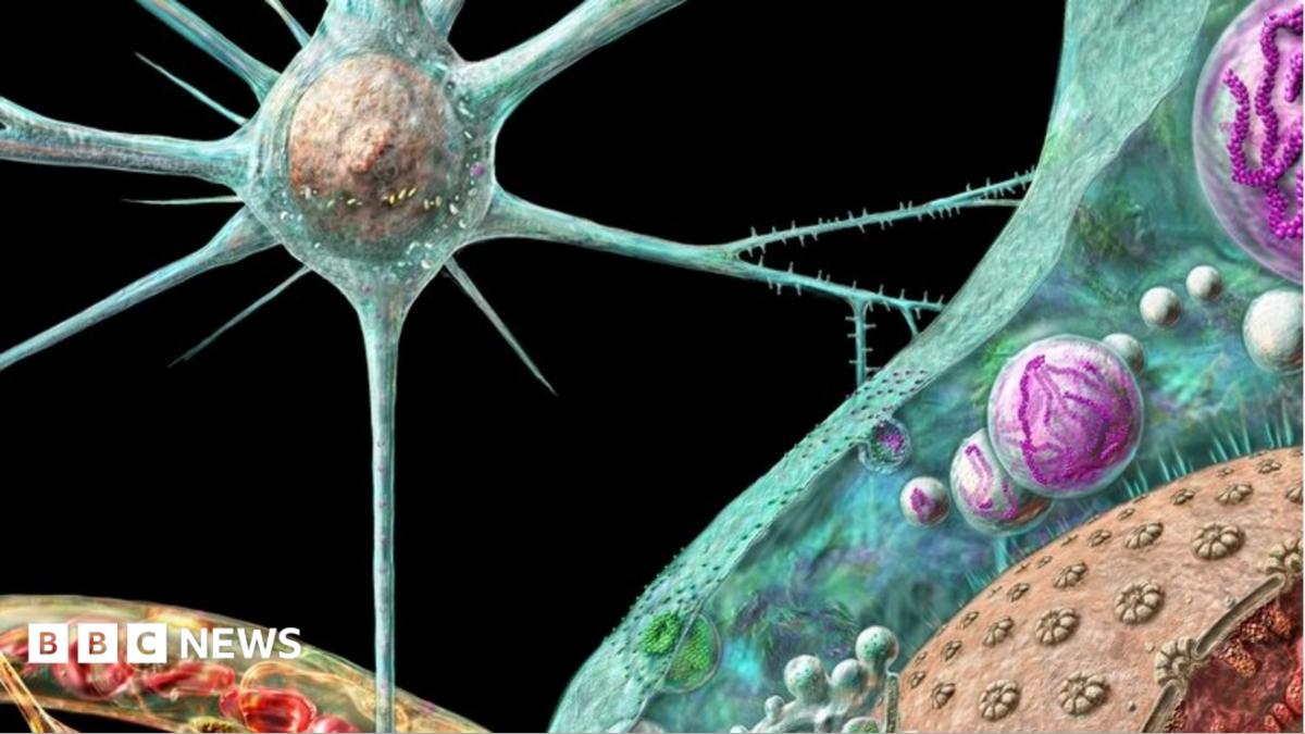 Thirteen hospital patients in deadly brain disease scare - BBC News