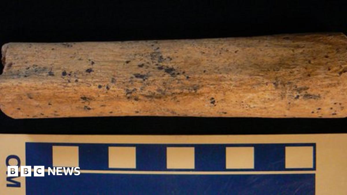 Bone dates 'earliest northerner', say archaeologists in Liverpool - BBC ...