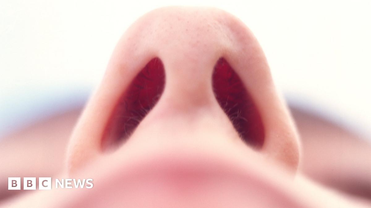 Humans sense 10 basic types of smell, scientists say - BBC News