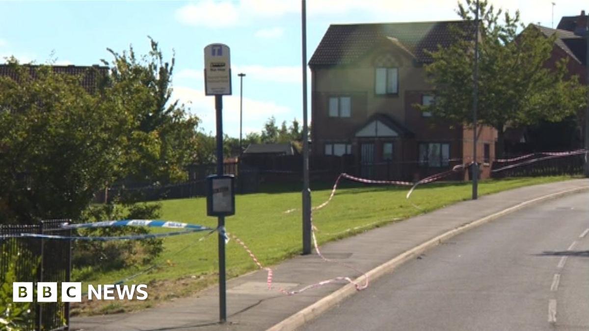 Sheffield murder inquiry launched after fatal stabbing - BBC News