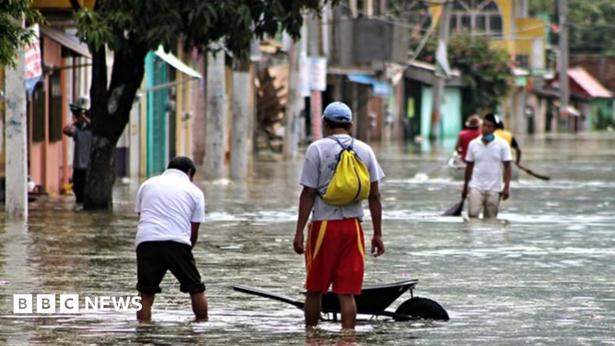 UN climate report: Key findings - BBC News