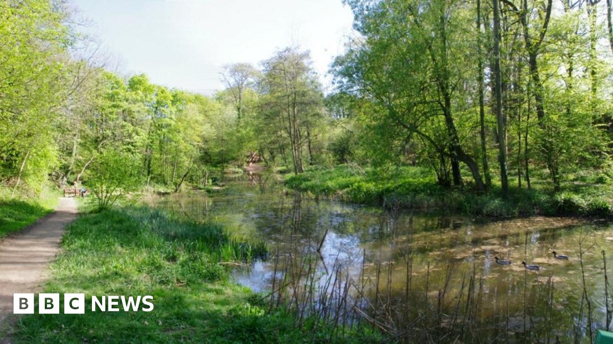 Middlesbrough group to unearth sunken path's history - BBC News