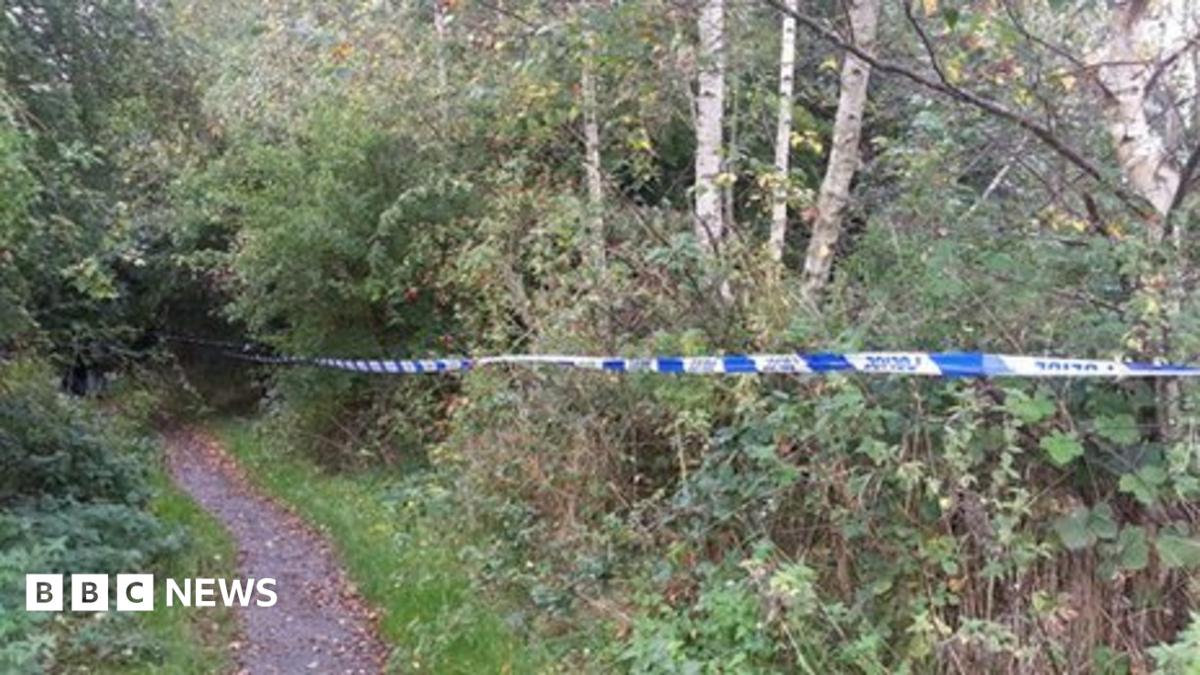 Daniel Dodsworth denies Alan Youngson murder - BBC News
