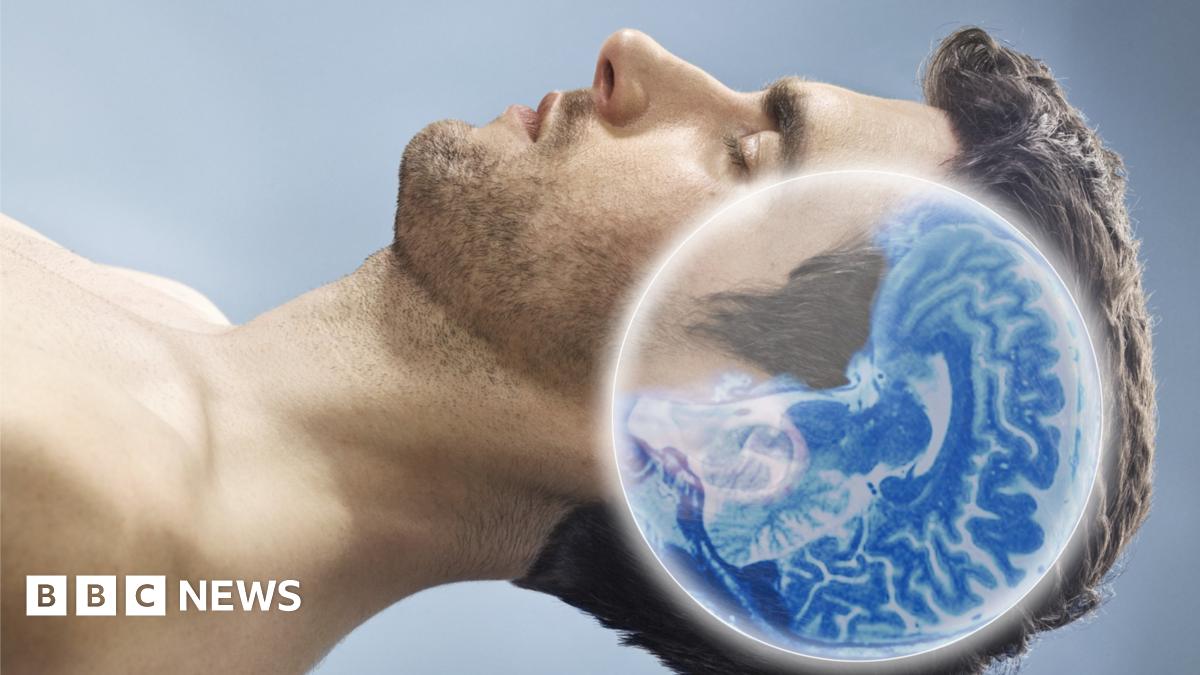 Sleep 'cleans' the brain of toxins - BBC News