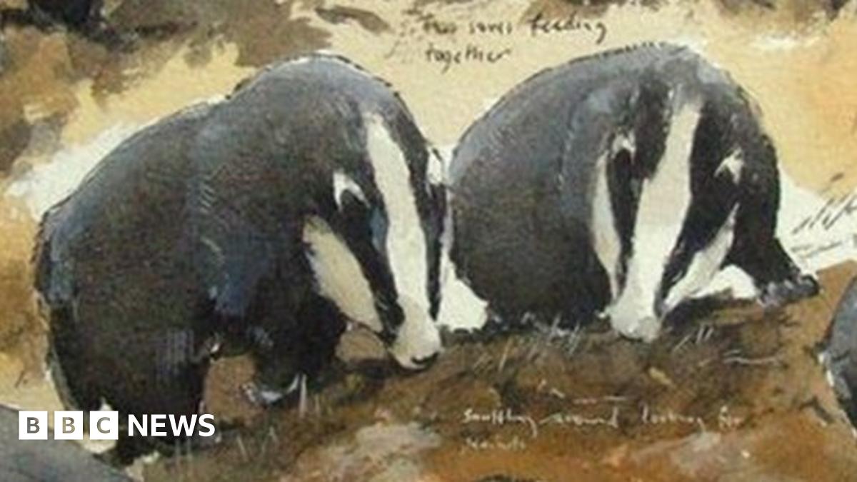 In pictures: Art showcases Fife reserve's wildlife - BBC News