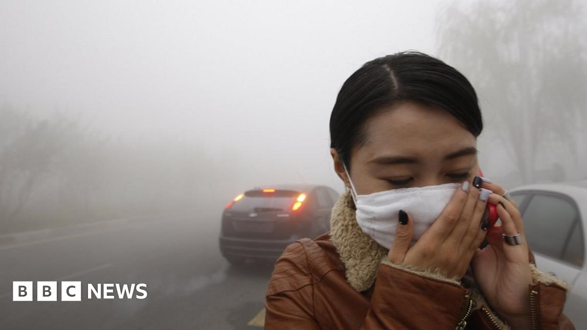 In pictures: China's Harbin choked by smog - BBC News