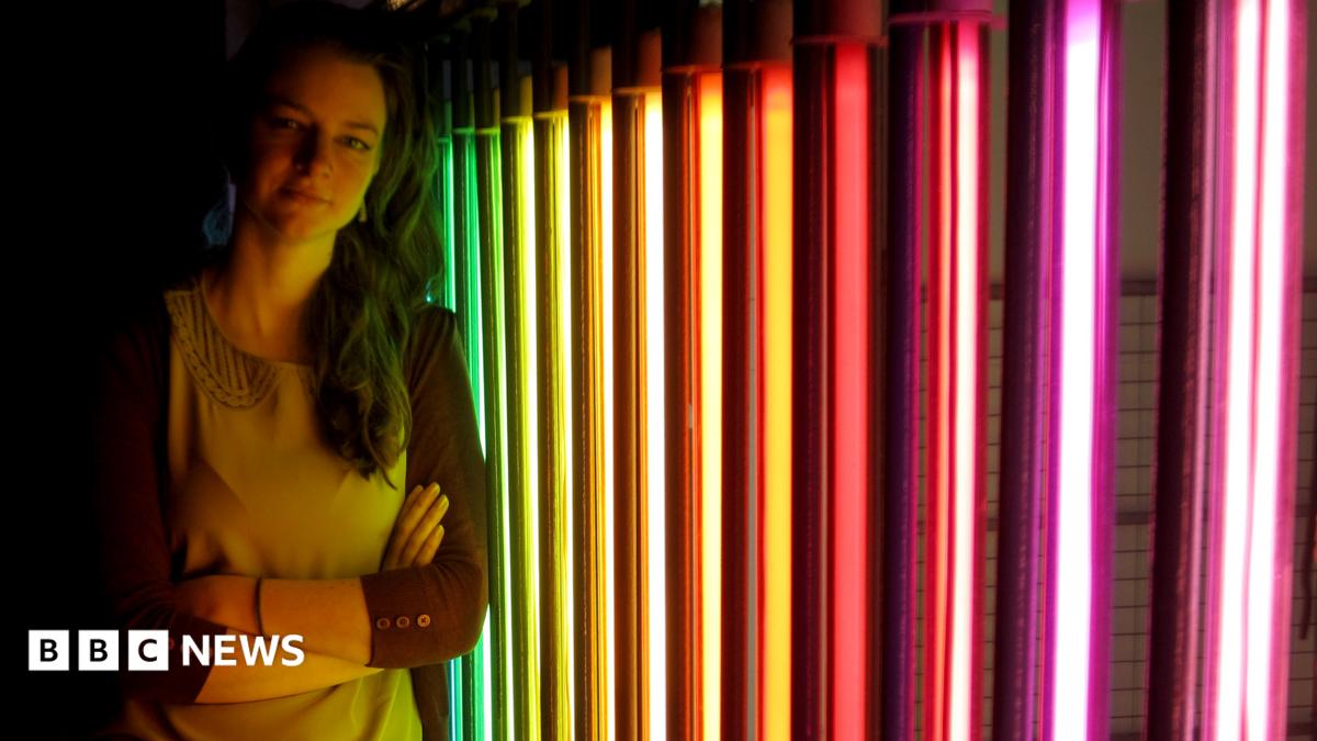 Liz West: An artist with extra Spice - BBC News