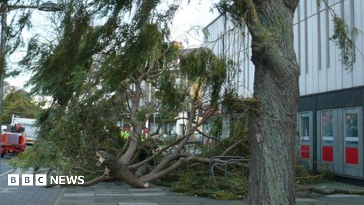 UK Storm: Power cut continues in Essex and Suffolk - BBC News