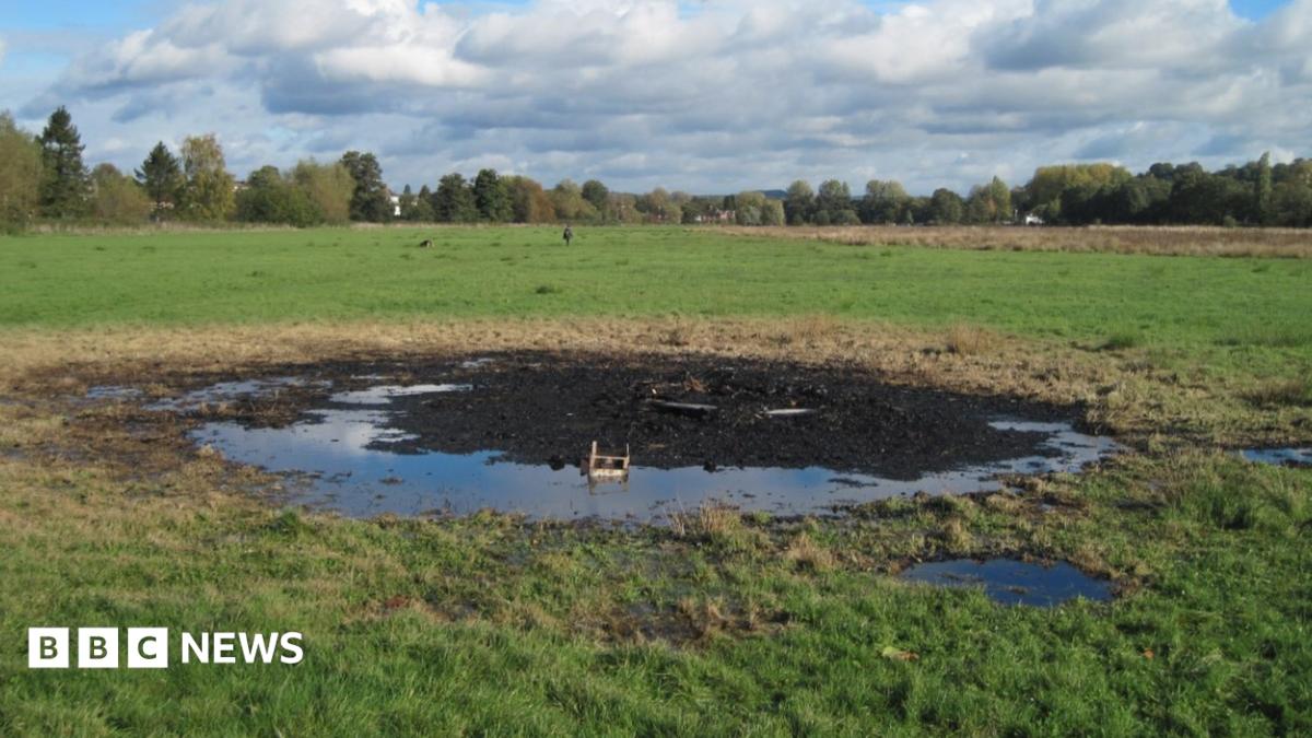 Godalming bonfire burns to ground a week early - BBC News