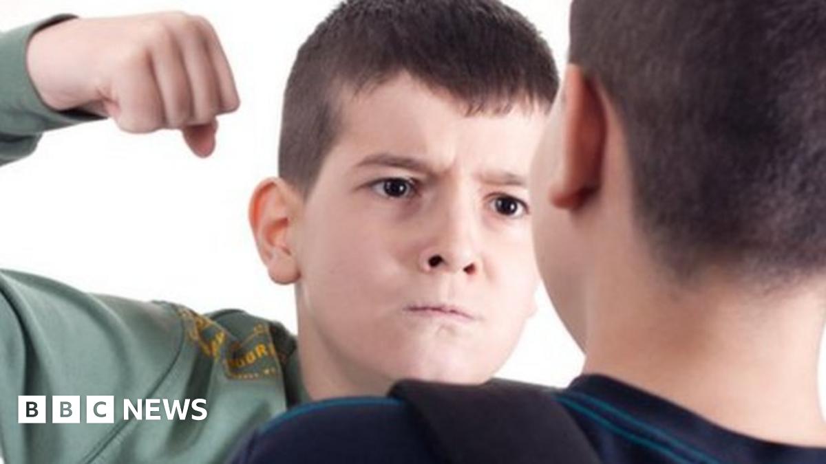 Bully in the next bedroom - are we in denial about sibling aggression ...