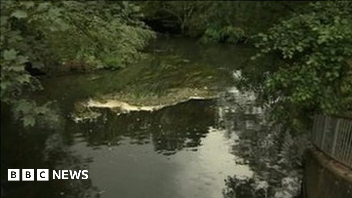 William Stringer inquest hears teenager drowned - BBC News