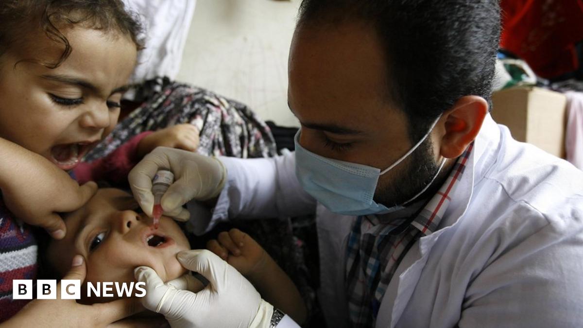 UN targets polio in Middle East after Syria outbreak - BBC News