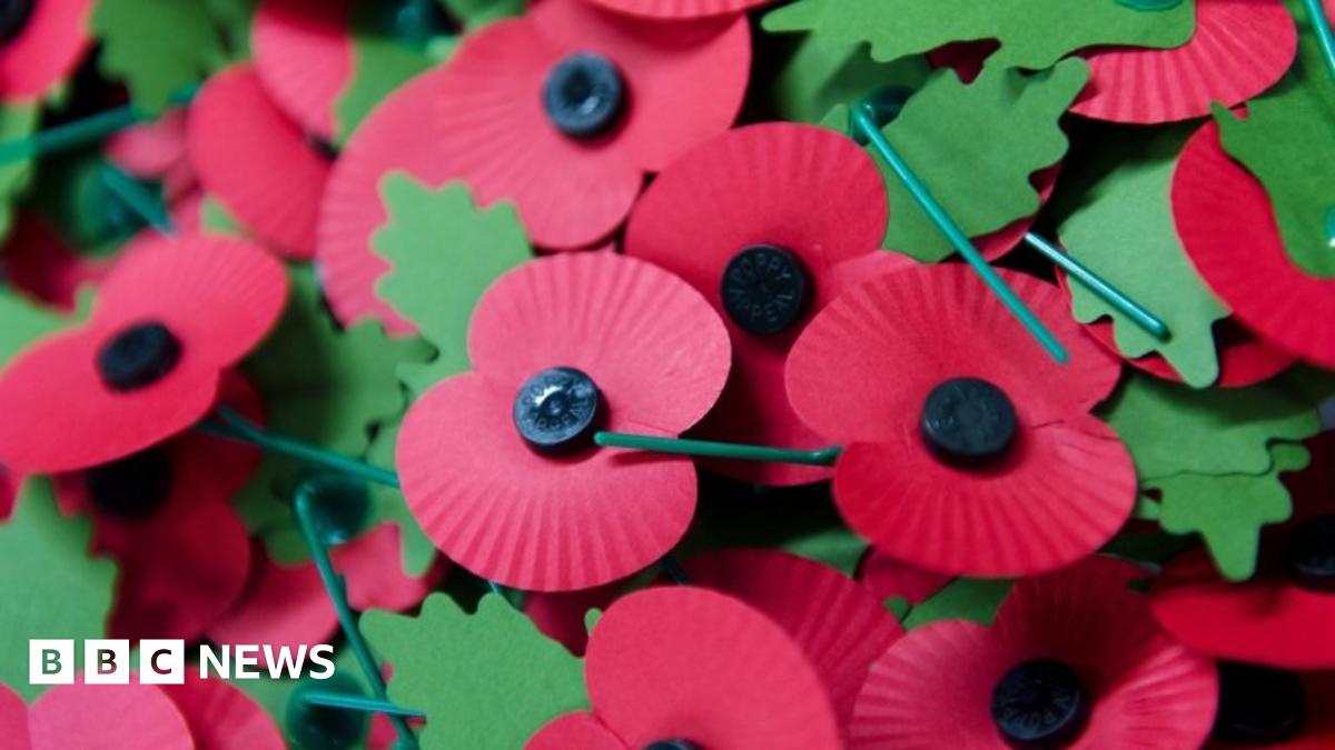 Tricks to stop your poppy falling off - BBC News