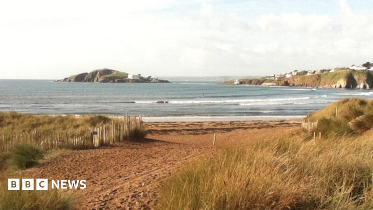 Bantham village and surfing beach to be sold for £10m - BBC News