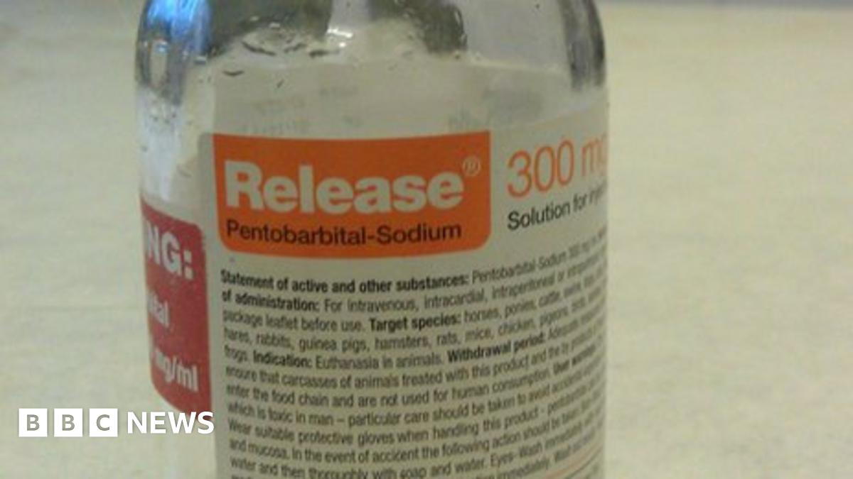 Lethal injection drug stolen from Kildare vet - BBC News