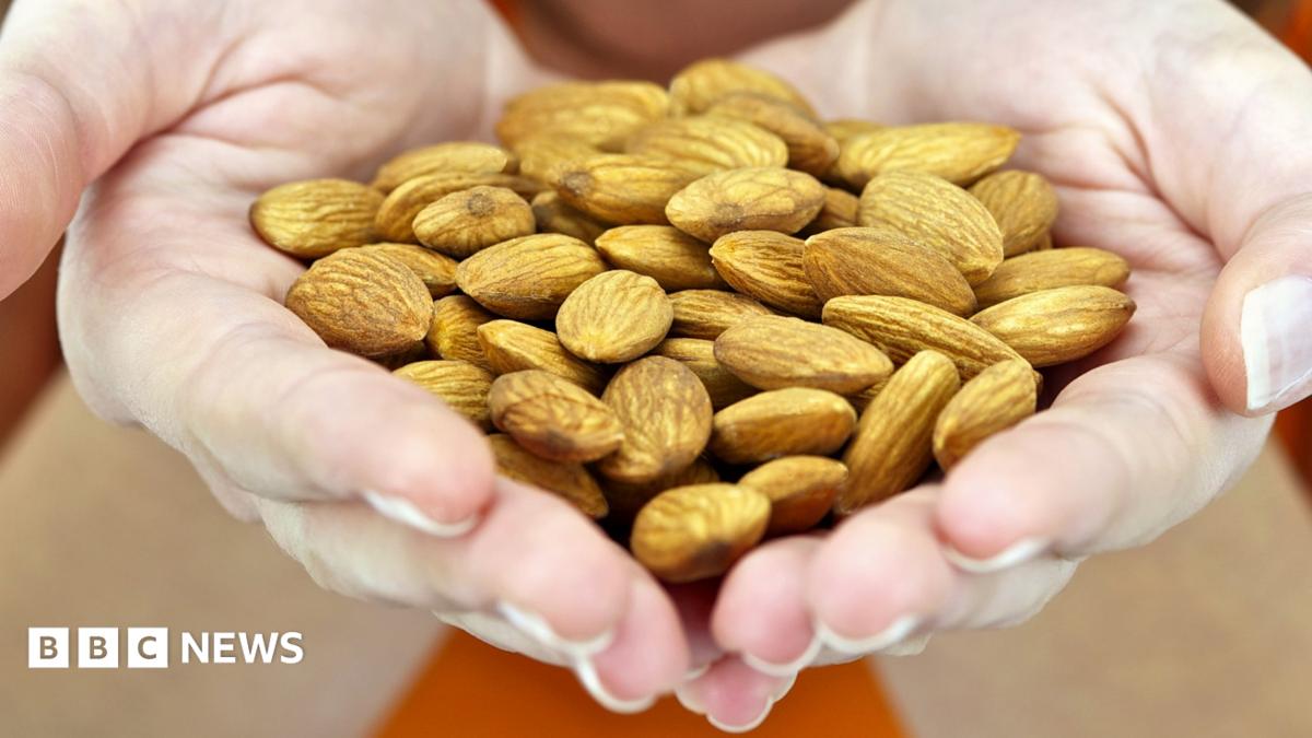 Eating nuts 'may prolong life' - BBC News
