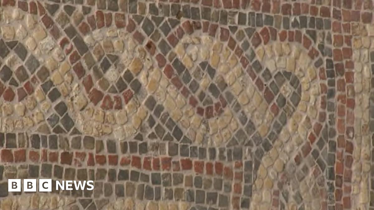 Roman villa mosaic from Stanwick Lakes goes on public display - BBC News