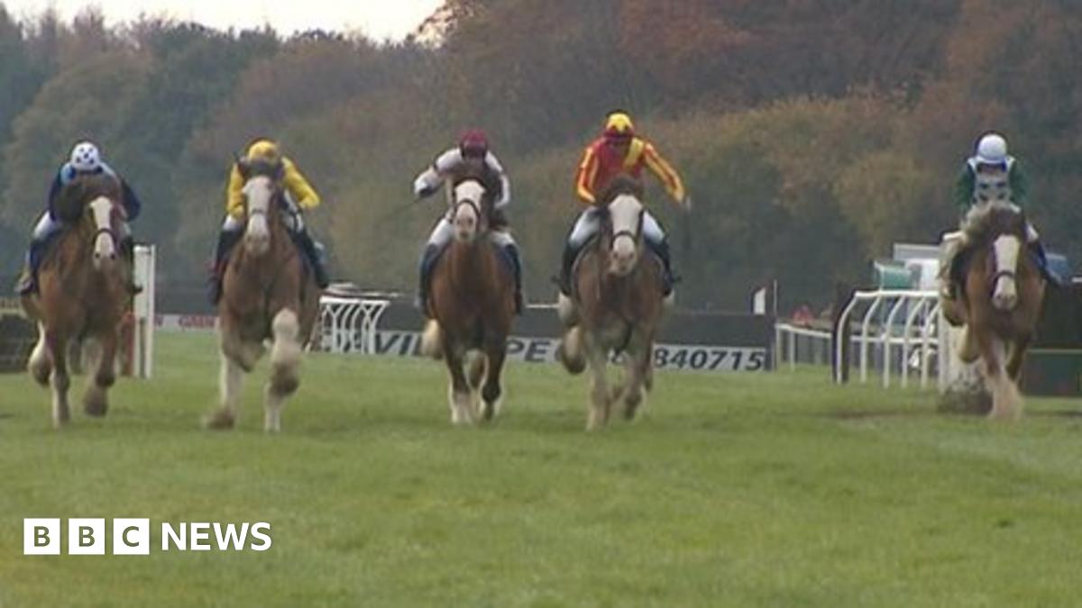 Jockeys ride Clydesdales for Exeter race - BBC News