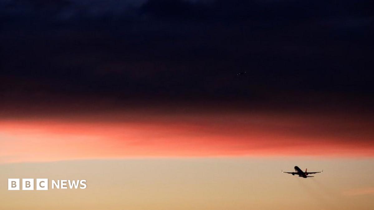 Day in pictures: 3 December 2013 - BBC News