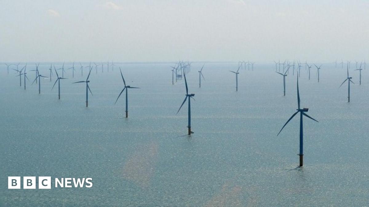 Major changes for government renewable energy subsidies - BBC News