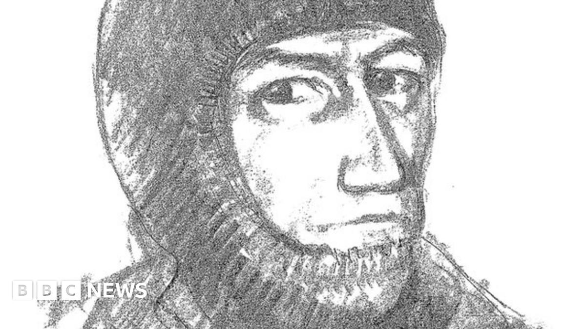 New Forest armed robber: Police release voice recording - BBC News