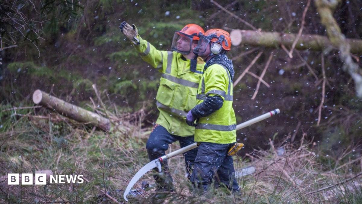 Second night of storm power cuts for some households - BBC News
