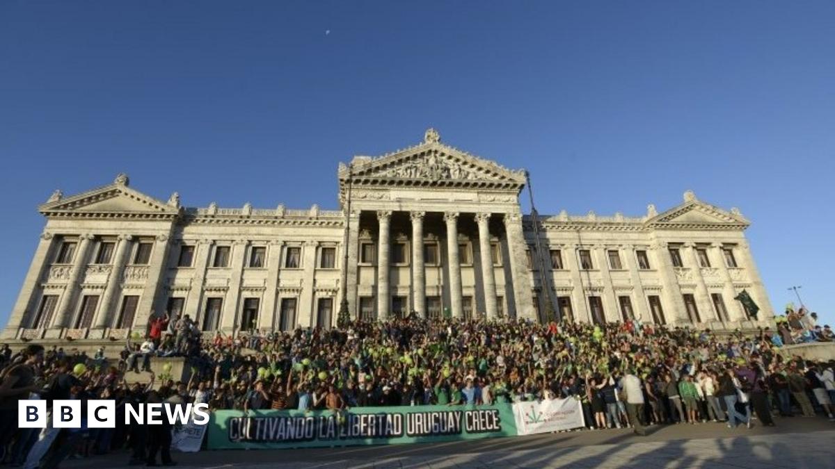 Uruguay becomes first nation to legalise marijuana trade - BBC News