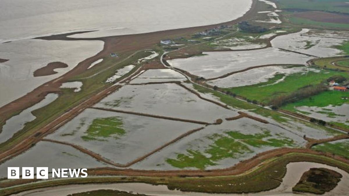Suffolk flooding: Shingle Street sea wall repairs underway - BBC News