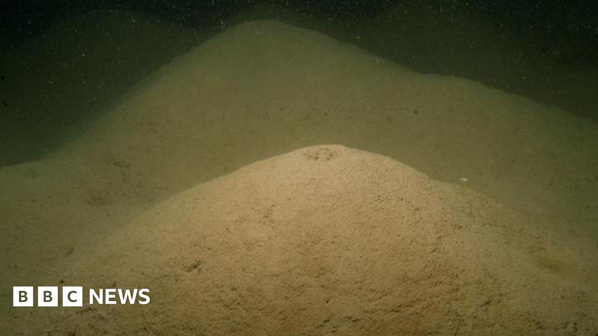 'UK's biggest' mud volcano worm habitat in Argyll loch - BBC News